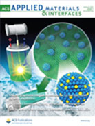 ACS Editing Service and Publication Support for Researchers