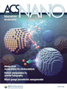 ACS Editing Service and Publication Support for Researchers